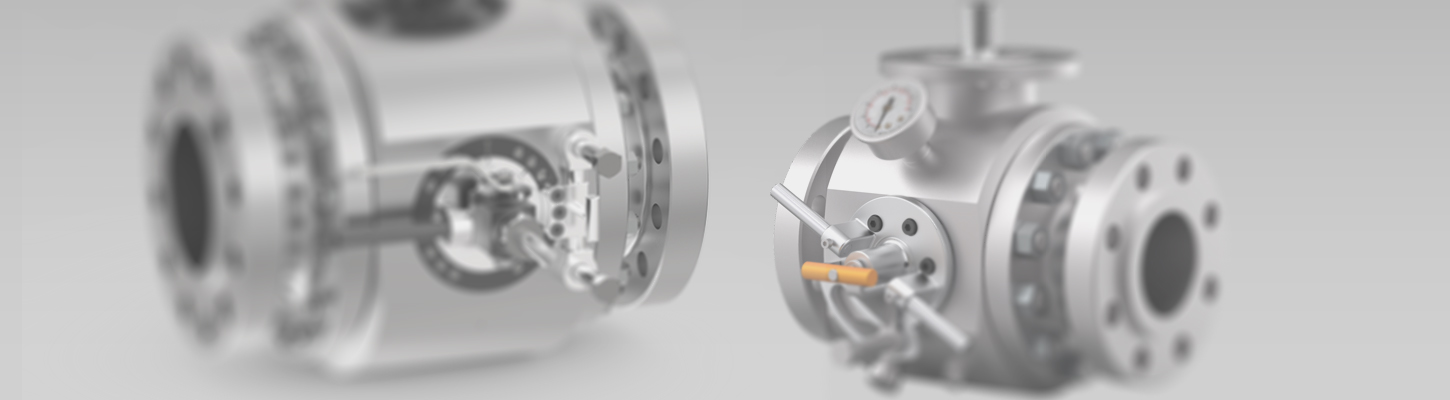 Forged Pig Valve – ChaodaUSA